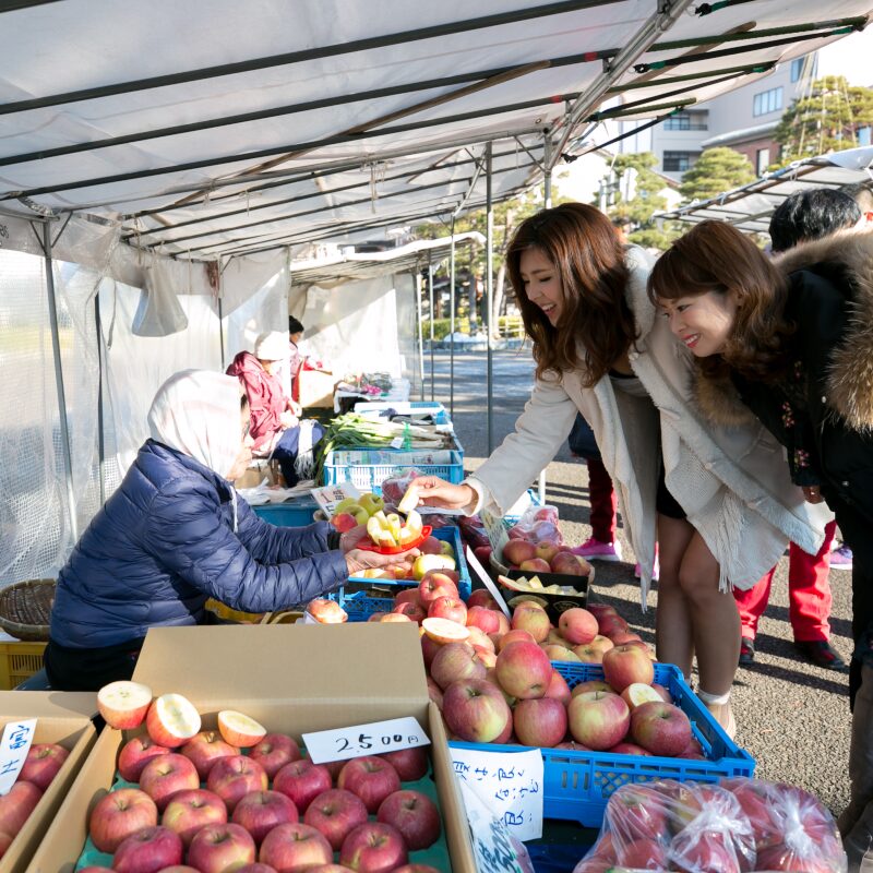 Takayama Morning Markets Explained: A Detailed Comparison of Miyagawa ...